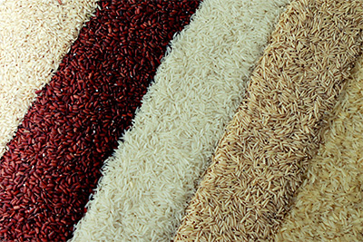 Rice Suppliers in Pakistan | Rice Traders in Pakistan | Taj Food