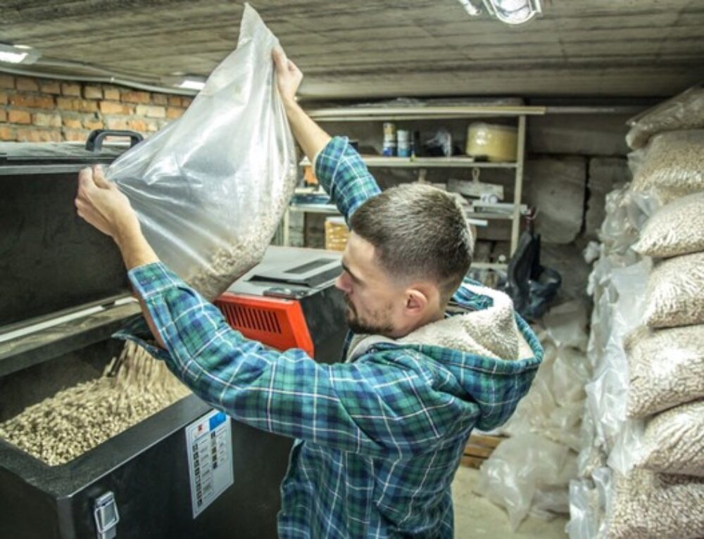 Explore the Rise of Brown Rice in Pakistan | Tajfood